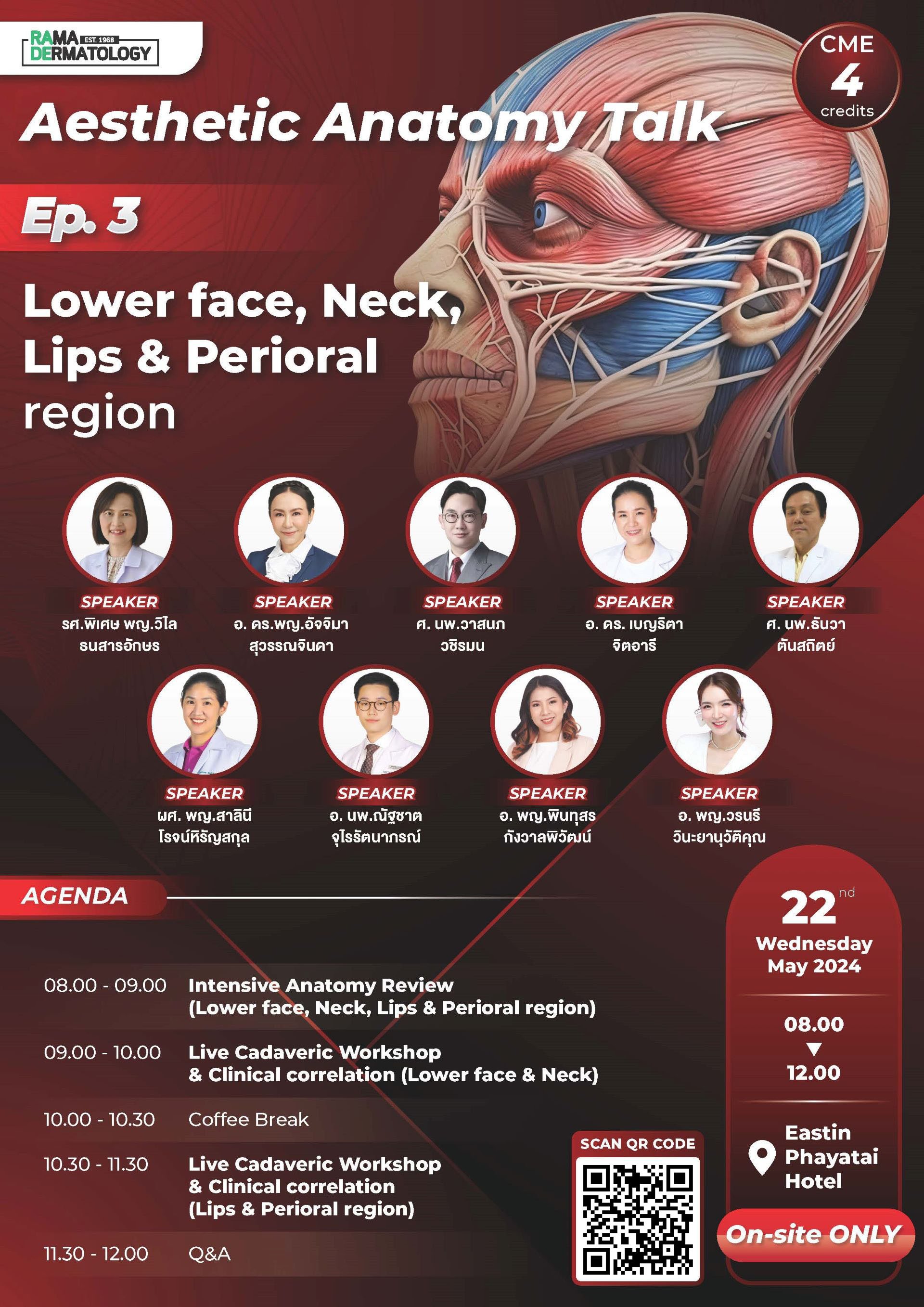 Aesthetic Anatomy Talk